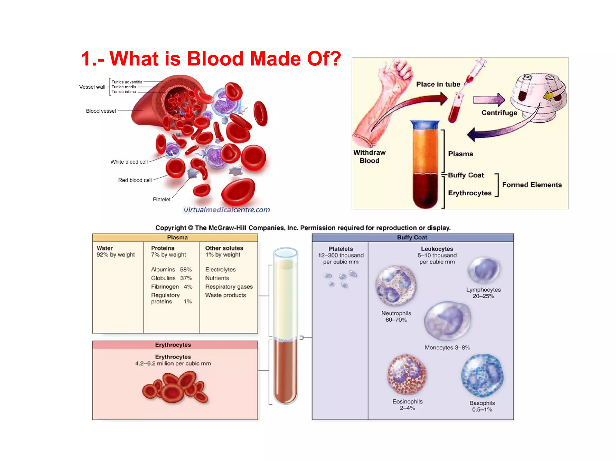 Circulatory system | PDF