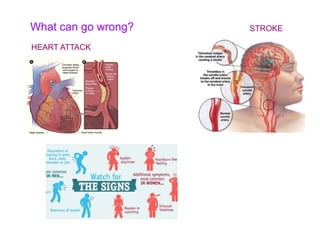 Circulatory system | PPT