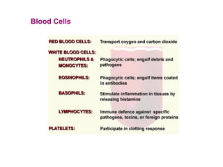 Circulatory system | PPT