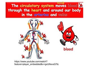 Circulatory system | PPT