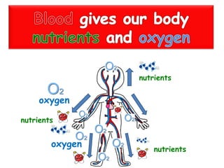 Circulatory system | PPT