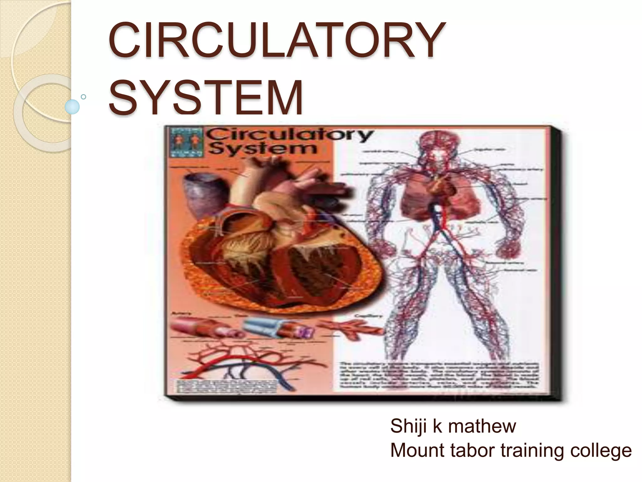 Circulatory system | PPT