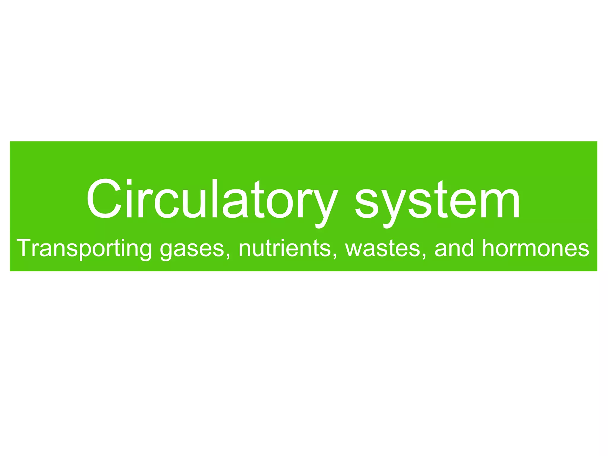 Circulatory system | PPT