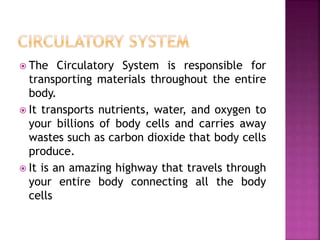 Circulatory system | PPTX