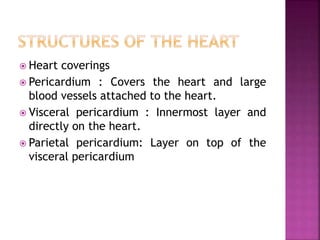 Circulatory system | PPTX