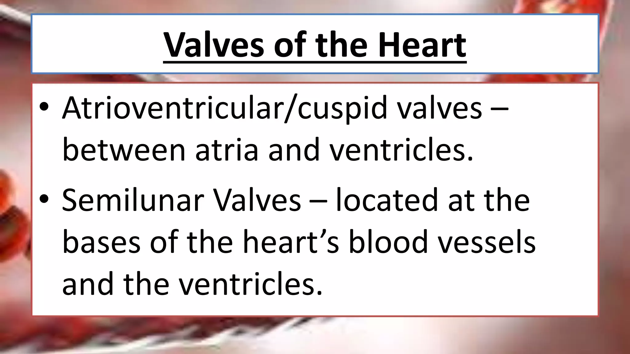 Cardiovascular System - Parts and Function | PPT