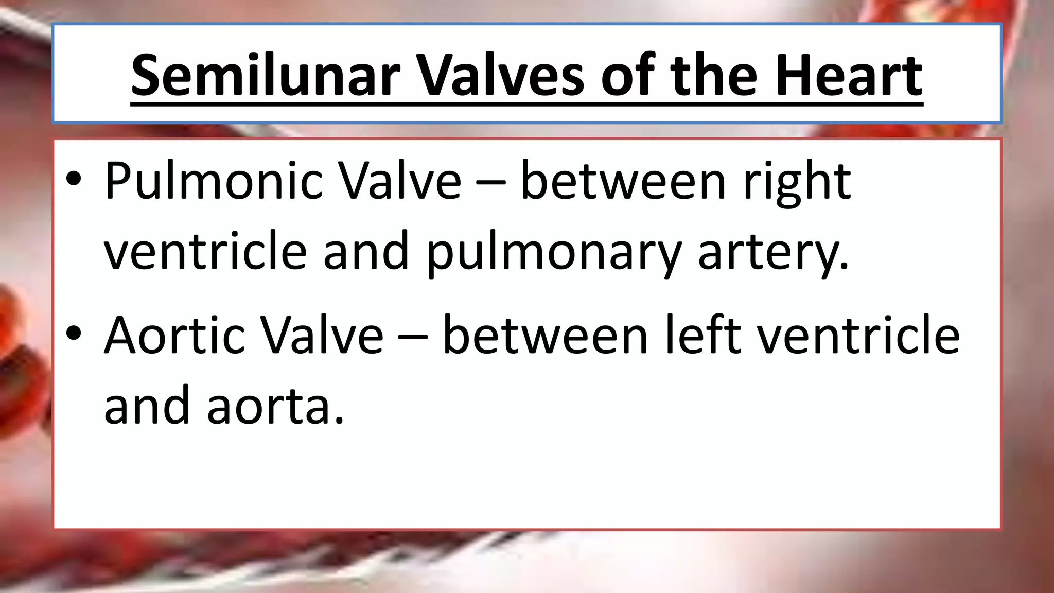 Cardiovascular System - Parts and Function | PPT