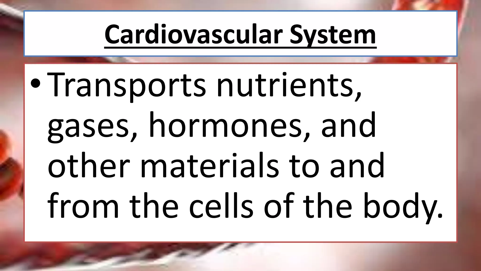 Cardiovascular System - Parts and Function | PPT