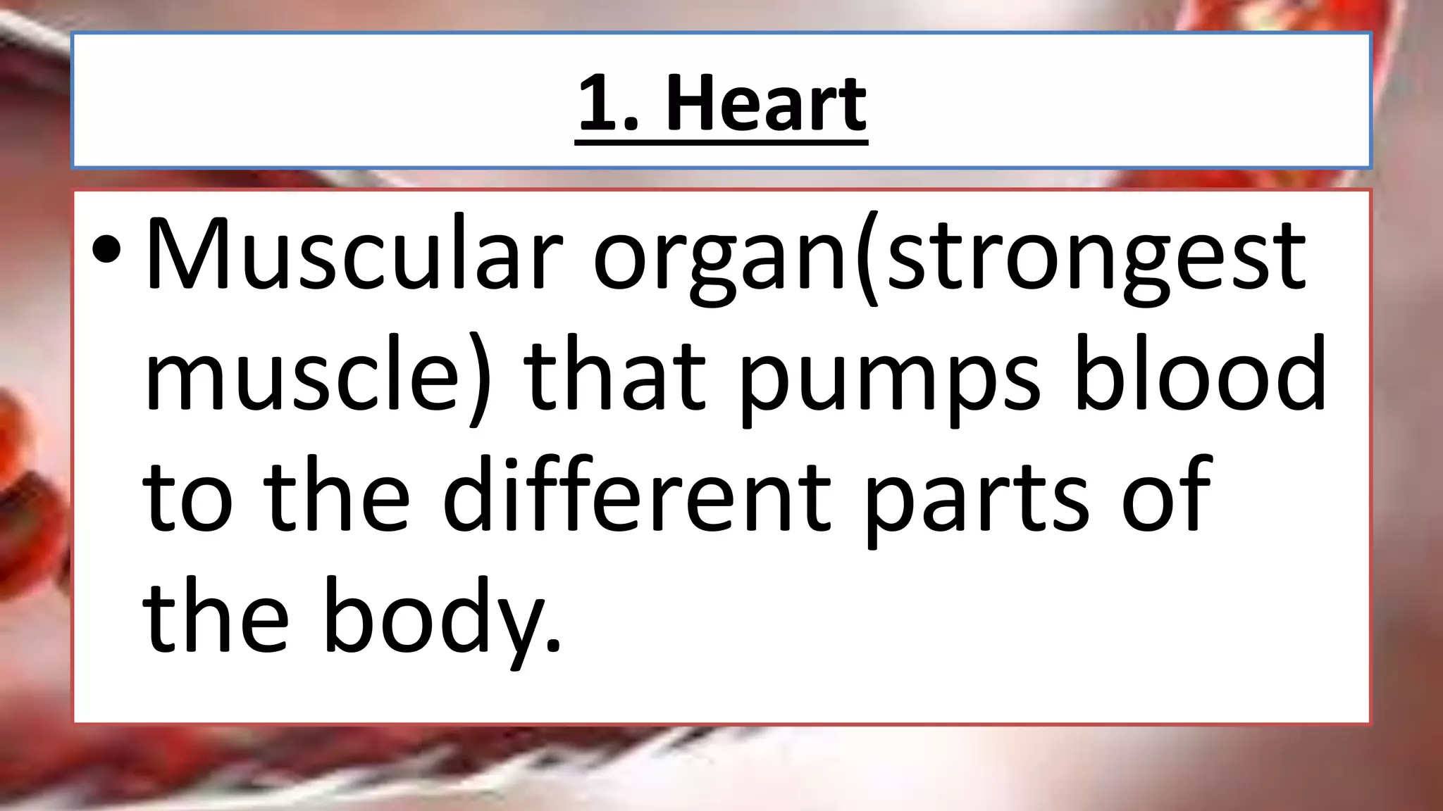 Cardiovascular System - Parts and Function | PPT