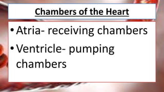 Cardiovascular System - Parts and Function | PPT