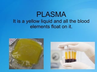Circulatory system | PDF