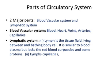 Circulatory system | PPTX