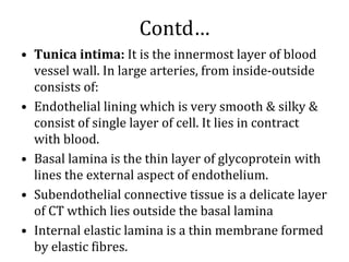 Anatomy of Circulatory system | PPT