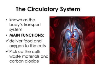 Circulatory system | PPT