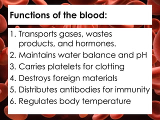 Circulatory system | PPT