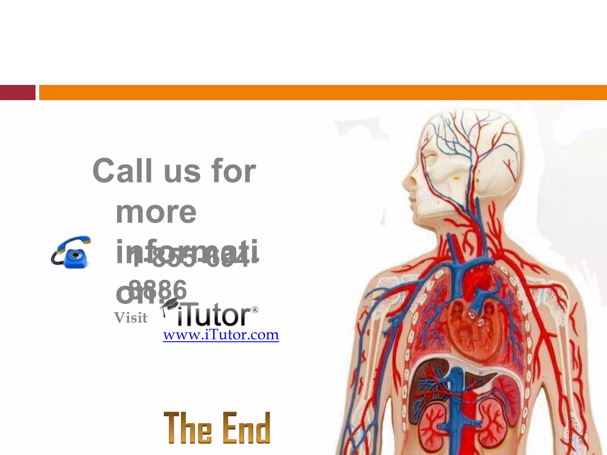Circulatory system | PPT