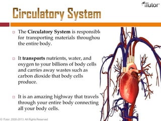 Circulatory system | PPT