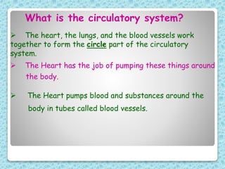Circulatory system | PPT