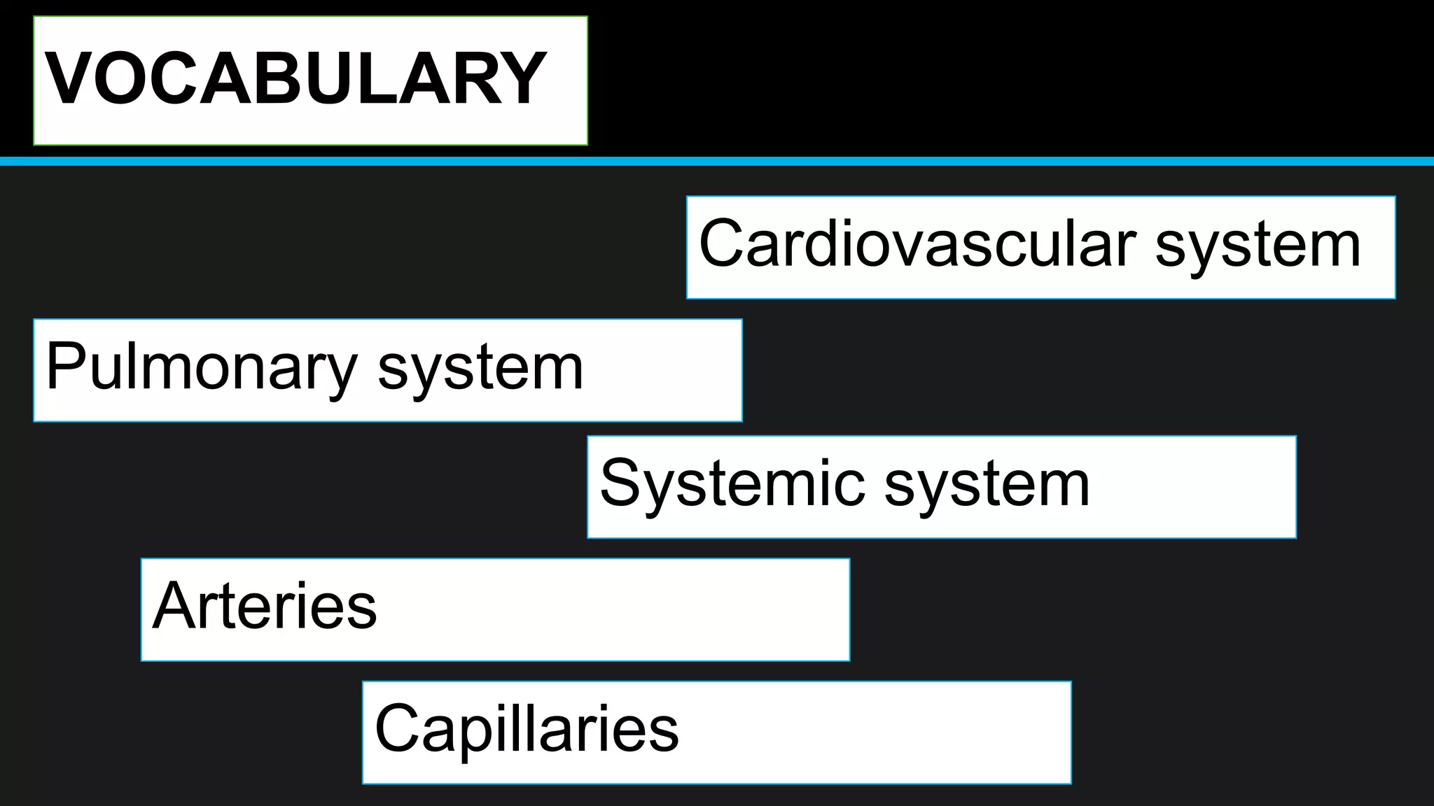 Circulatory system | PPT | Free Download
