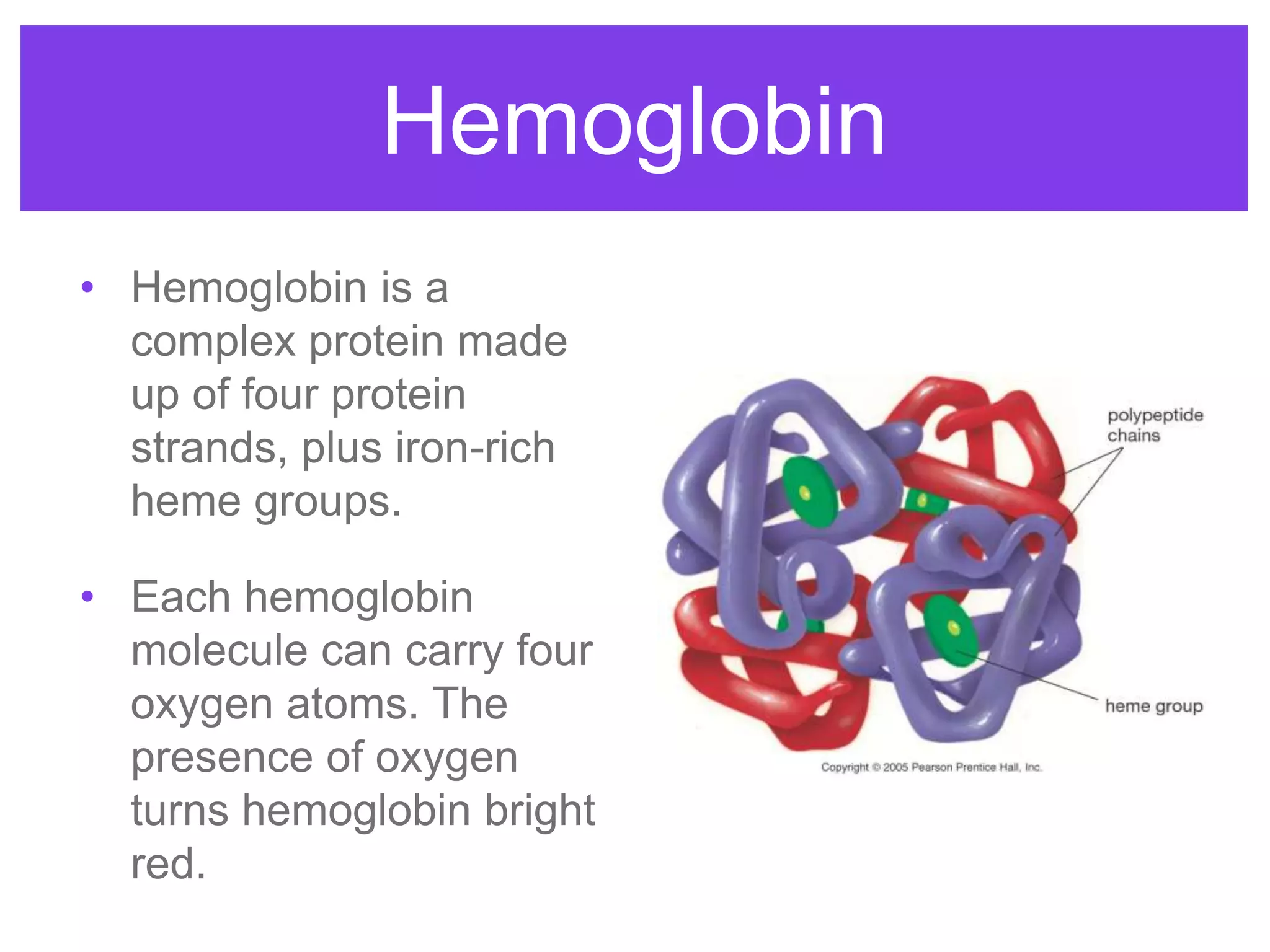 Circulatory system | PPT