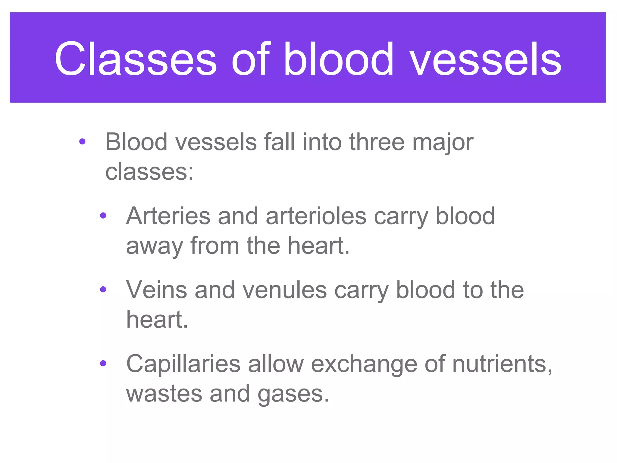 Circulatory system | PPT