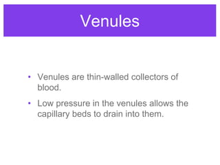 Circulatory system | PPT