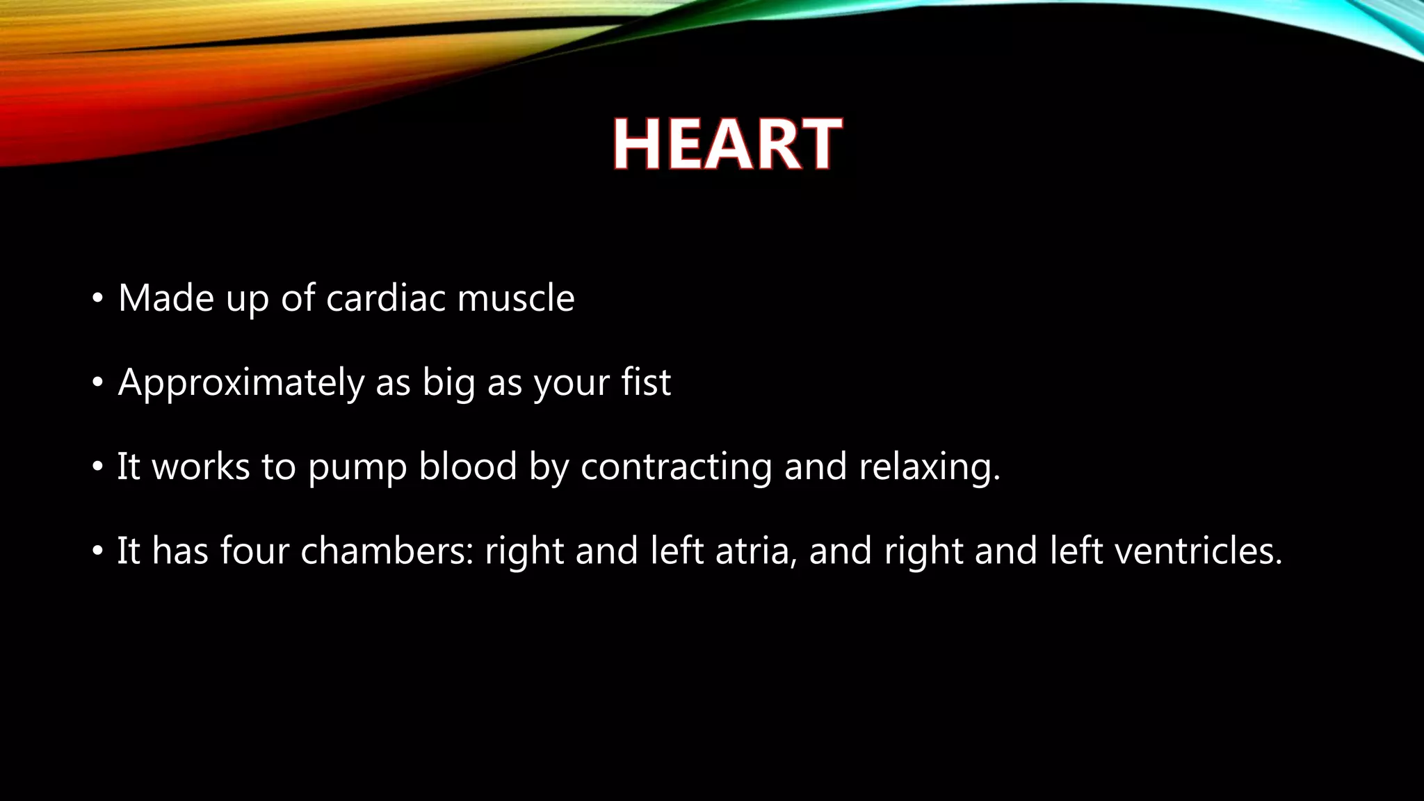 Circulatory system | PPT