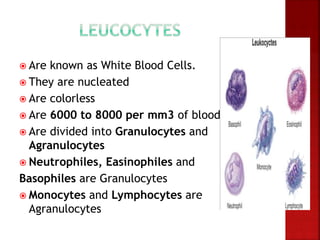 Circulatory system | PPTX