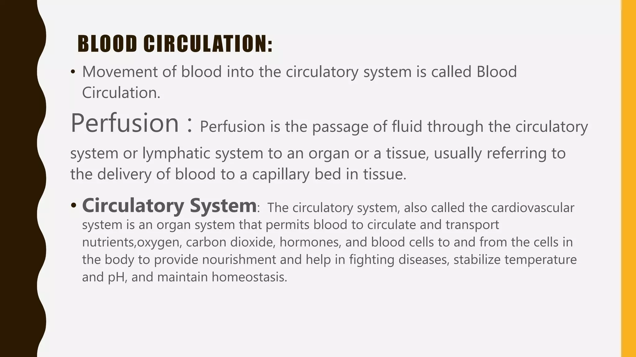 Circulatory system | PPT