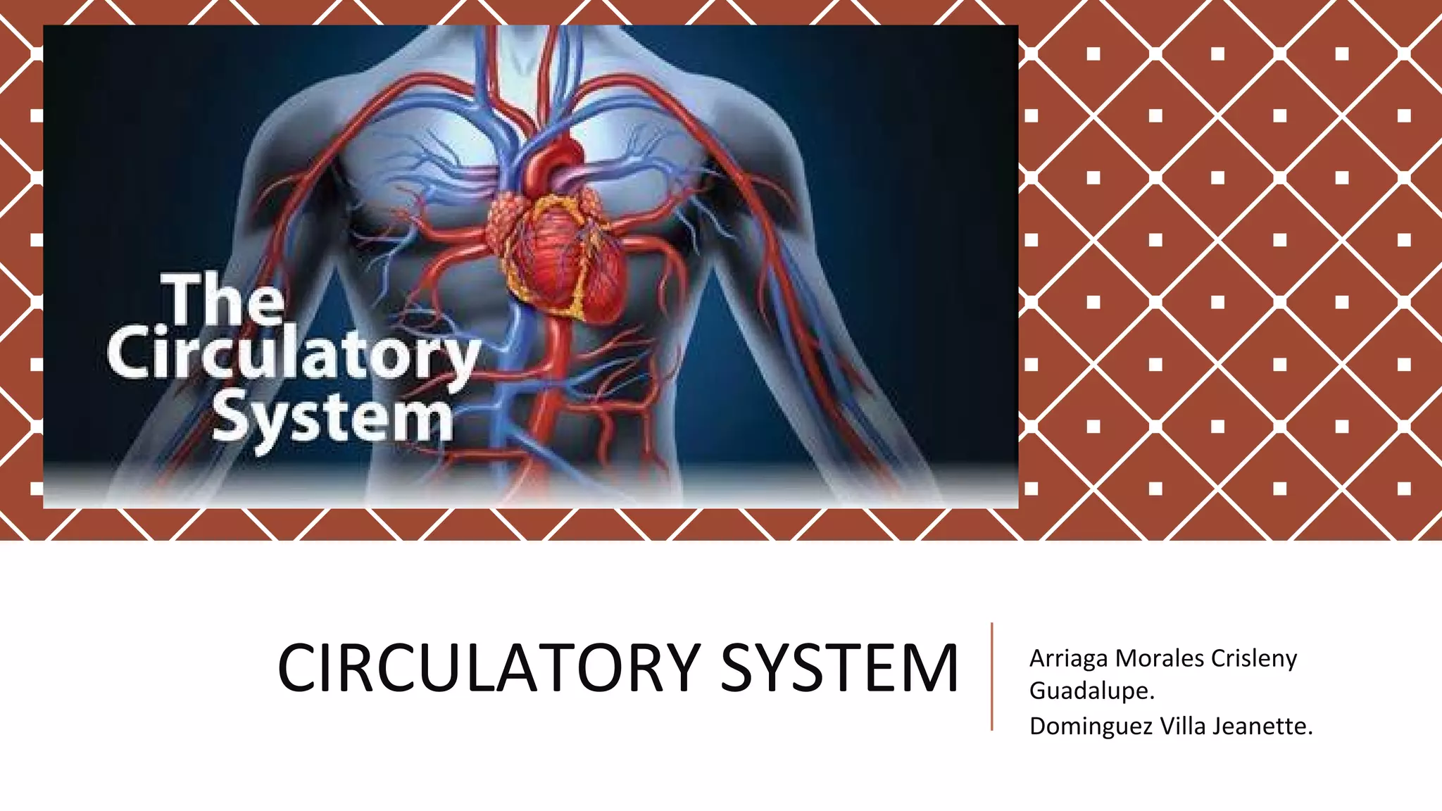 Circulatory System.pdf