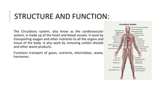 Circulatory System.pdf