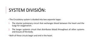 Circulatory System.pdf