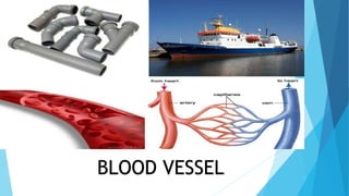 Circulatory SYSTEM.pptx