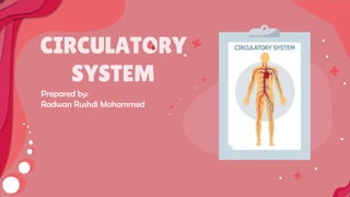 Circulatory system | PPT
