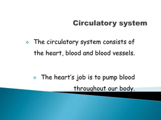 Circulatory system.pptx