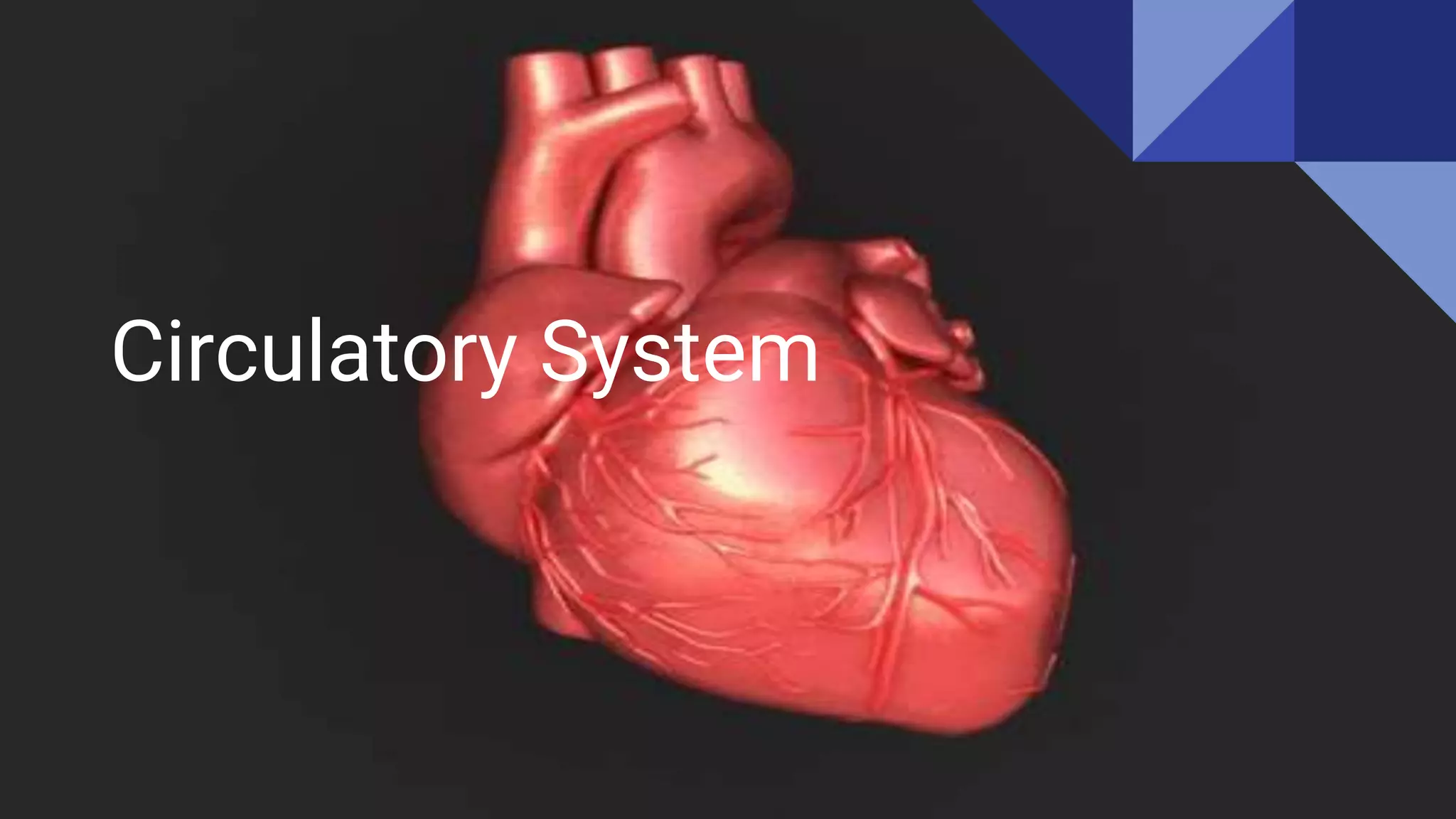 Circulatory System.pptx