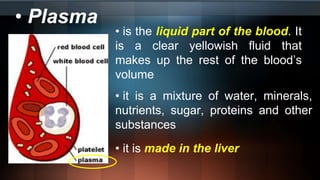 Circulatory System.pptx