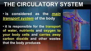 Circulatory System.pptx