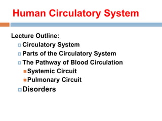 Circulatory System.pptx