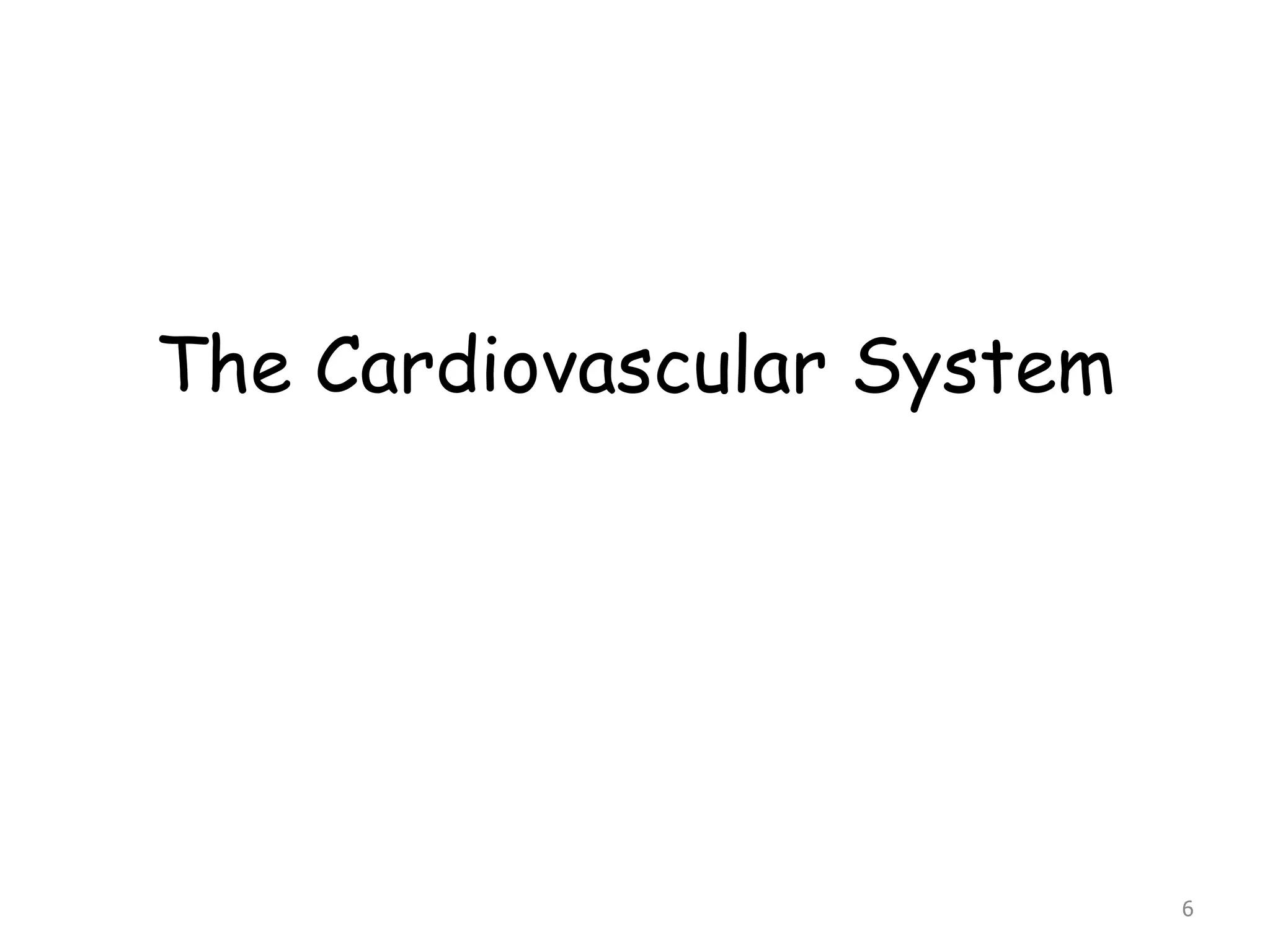 Circulatory system.ppt