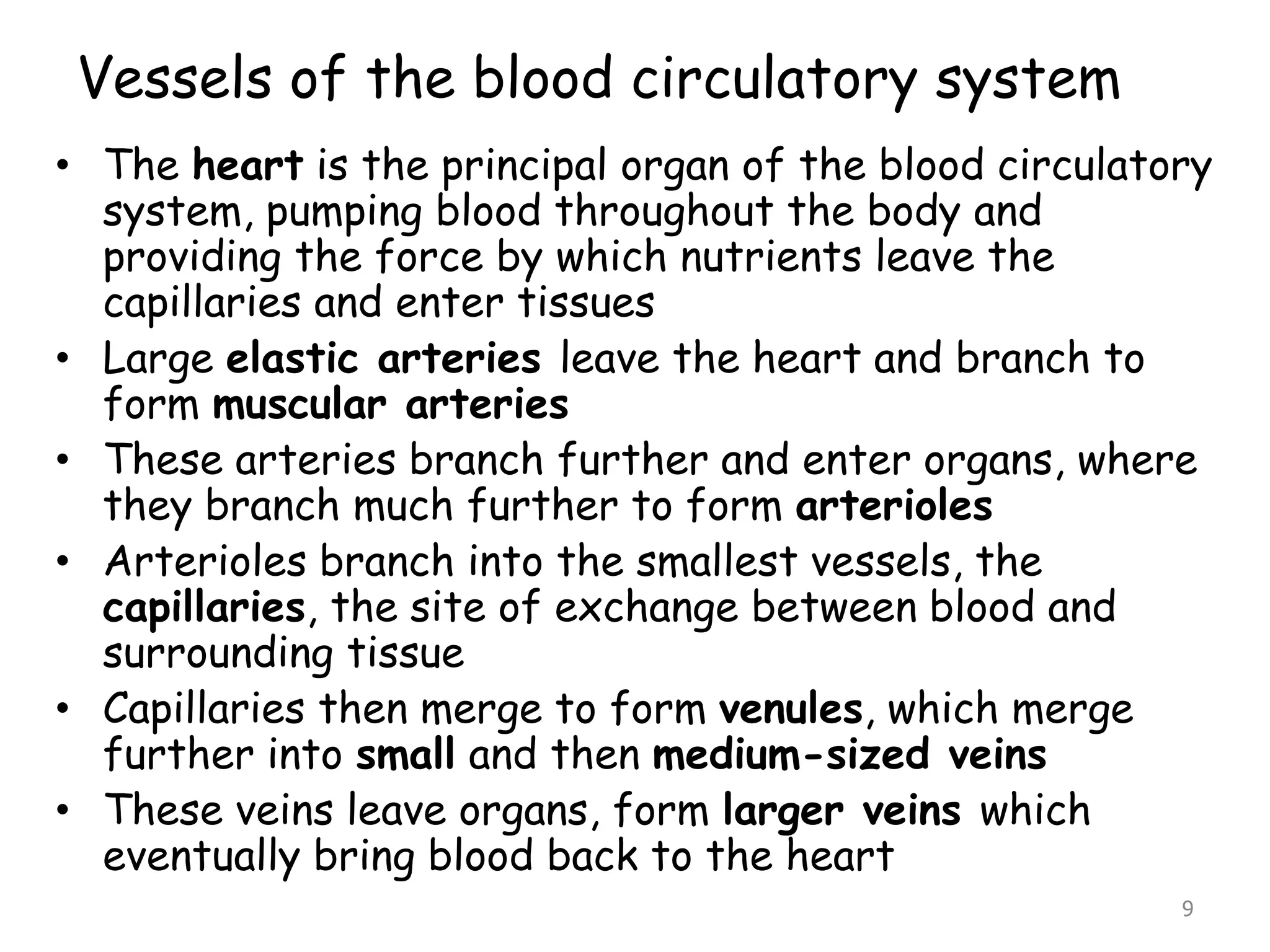 Circulatory system.ppt