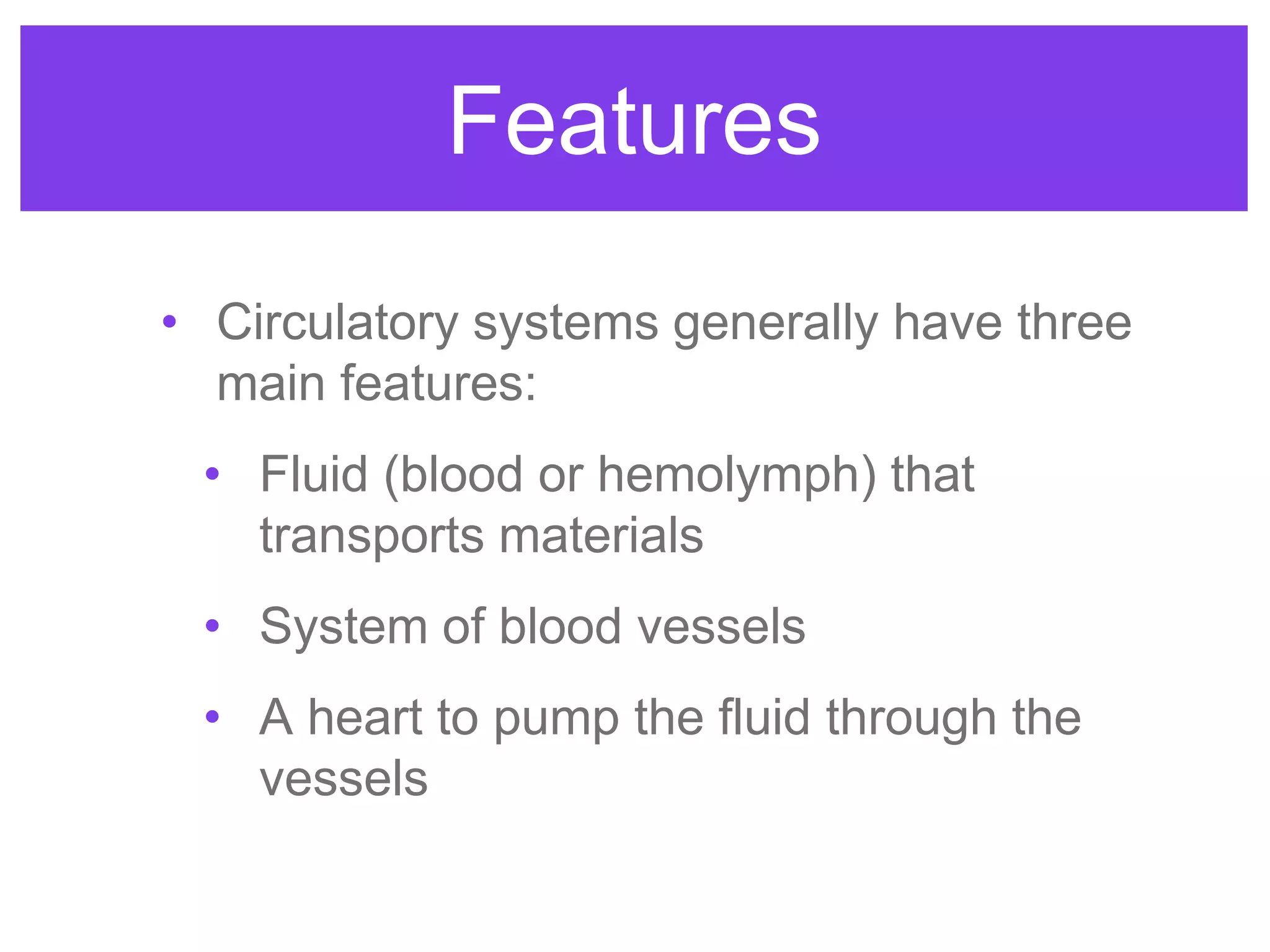 circulatory_system.ppt | Blood Disorders | Diseases and Conditions