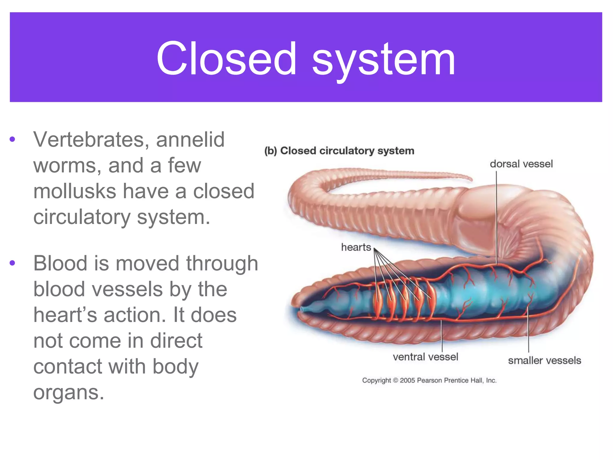 circulatory_system.ppt