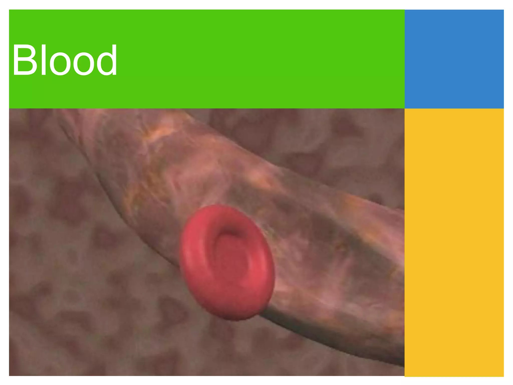 circulatory_system.ppt | Blood Disorders | Diseases and Conditions