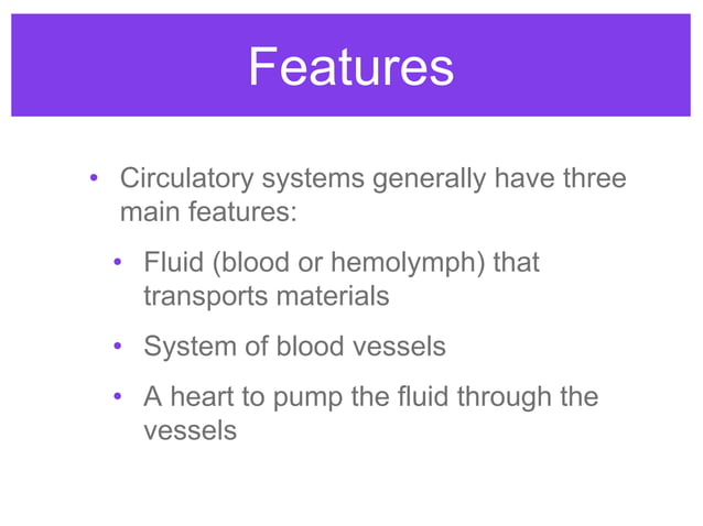 circulatory_system.ppt