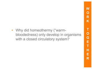 circulatory_system.ppt | Blood Disorders | Diseases and Conditions