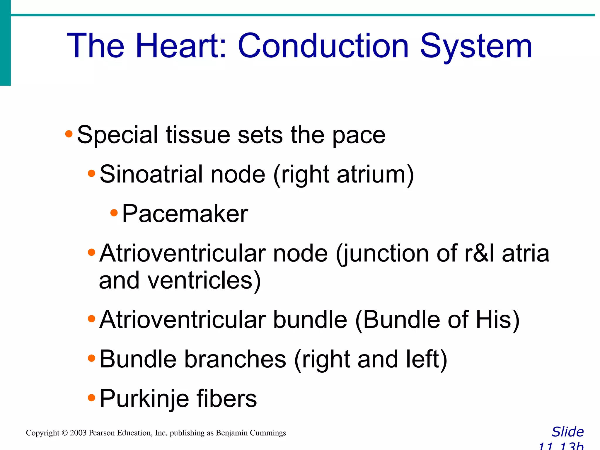 CIRCULATORY SYSTEM.pptx (2).pdf