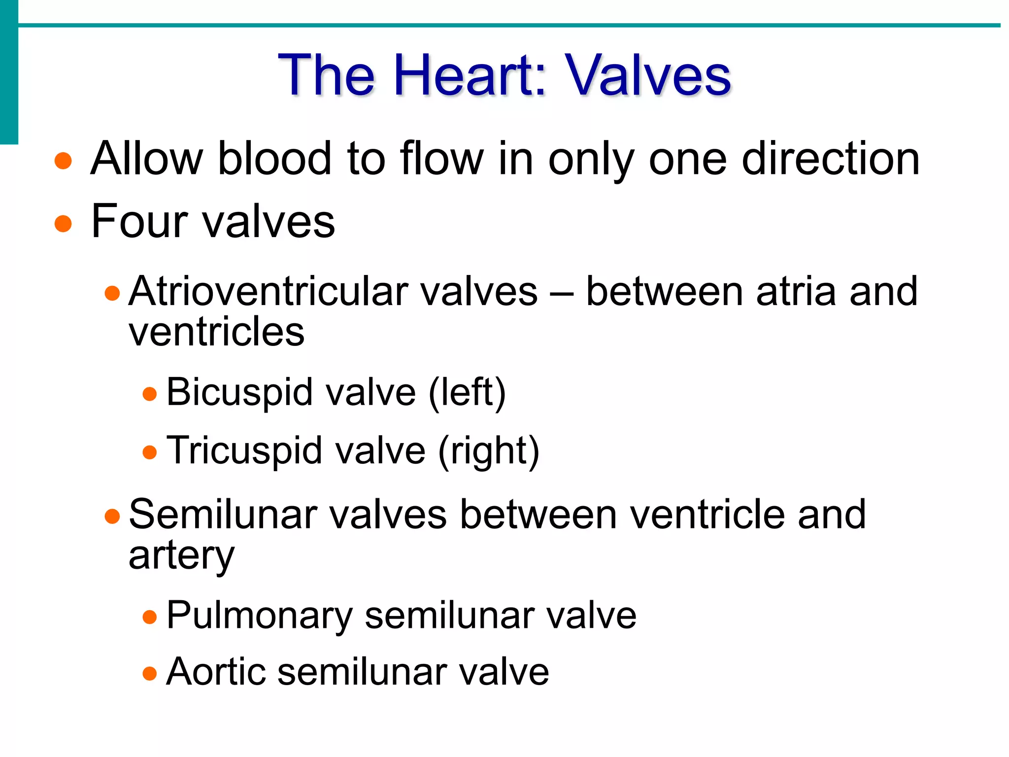 CIRCULATORY SYSTEM.pptx