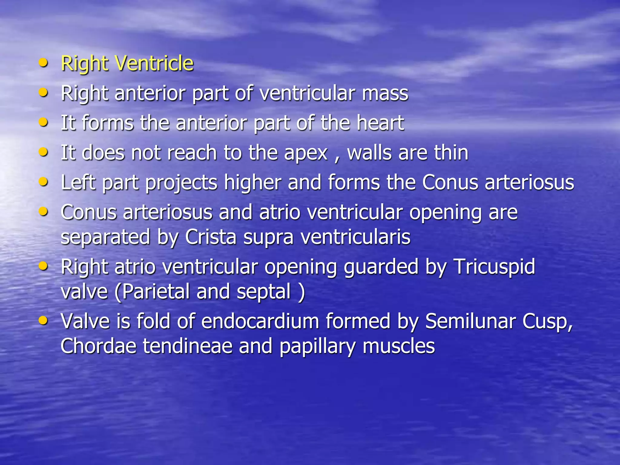 Circulatory System.ppt