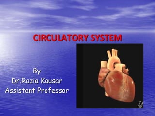 Circulatory System.ppt